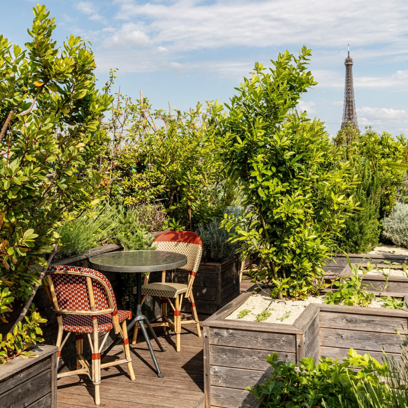 The Best Rooftop Bars in Paris | Omio