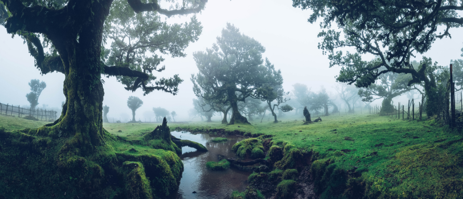 Madeira Guide: The Magical Portuguese Island | Omio