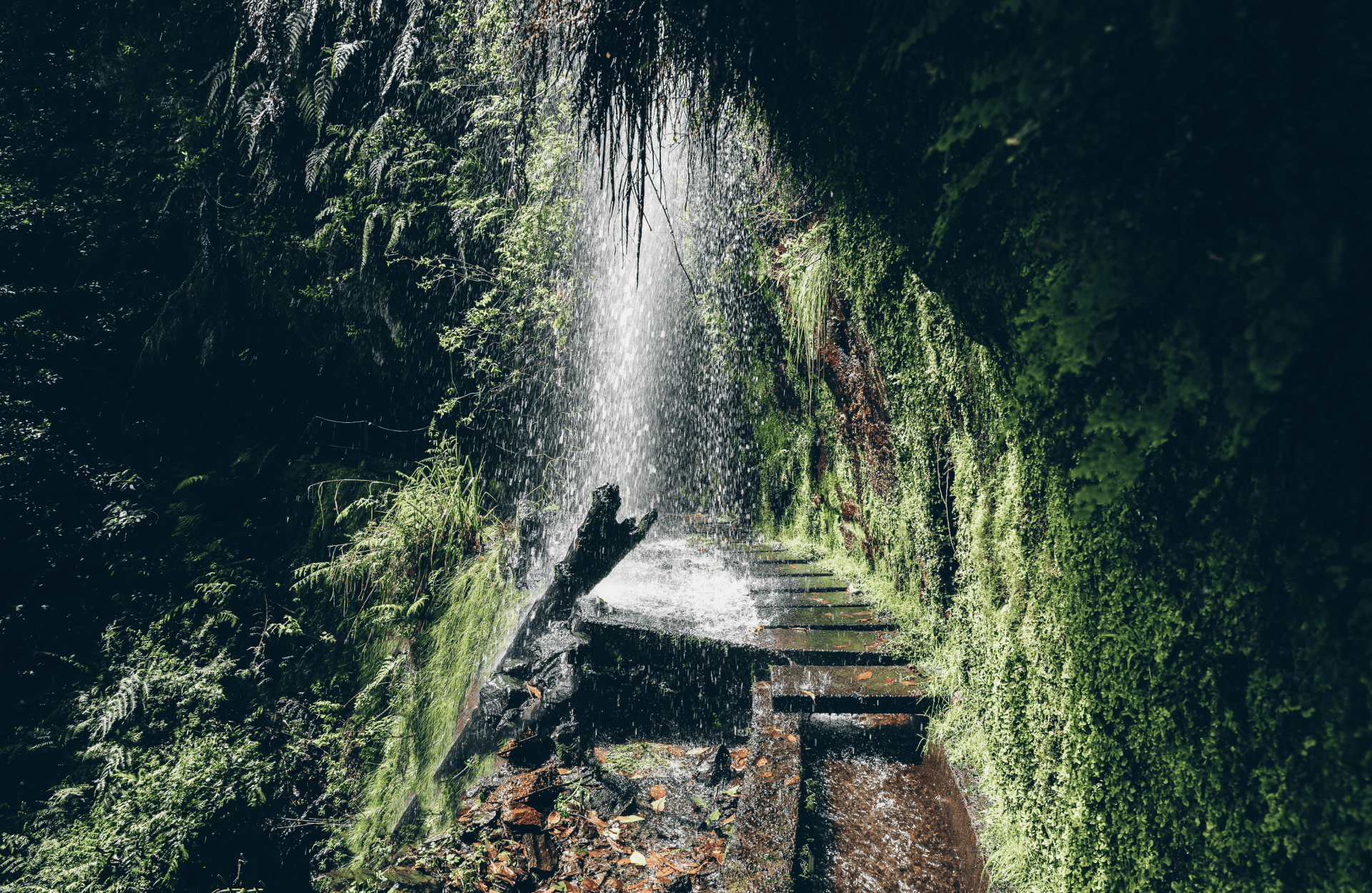 Madeira Guide: The Magical Portuguese Island | Omio